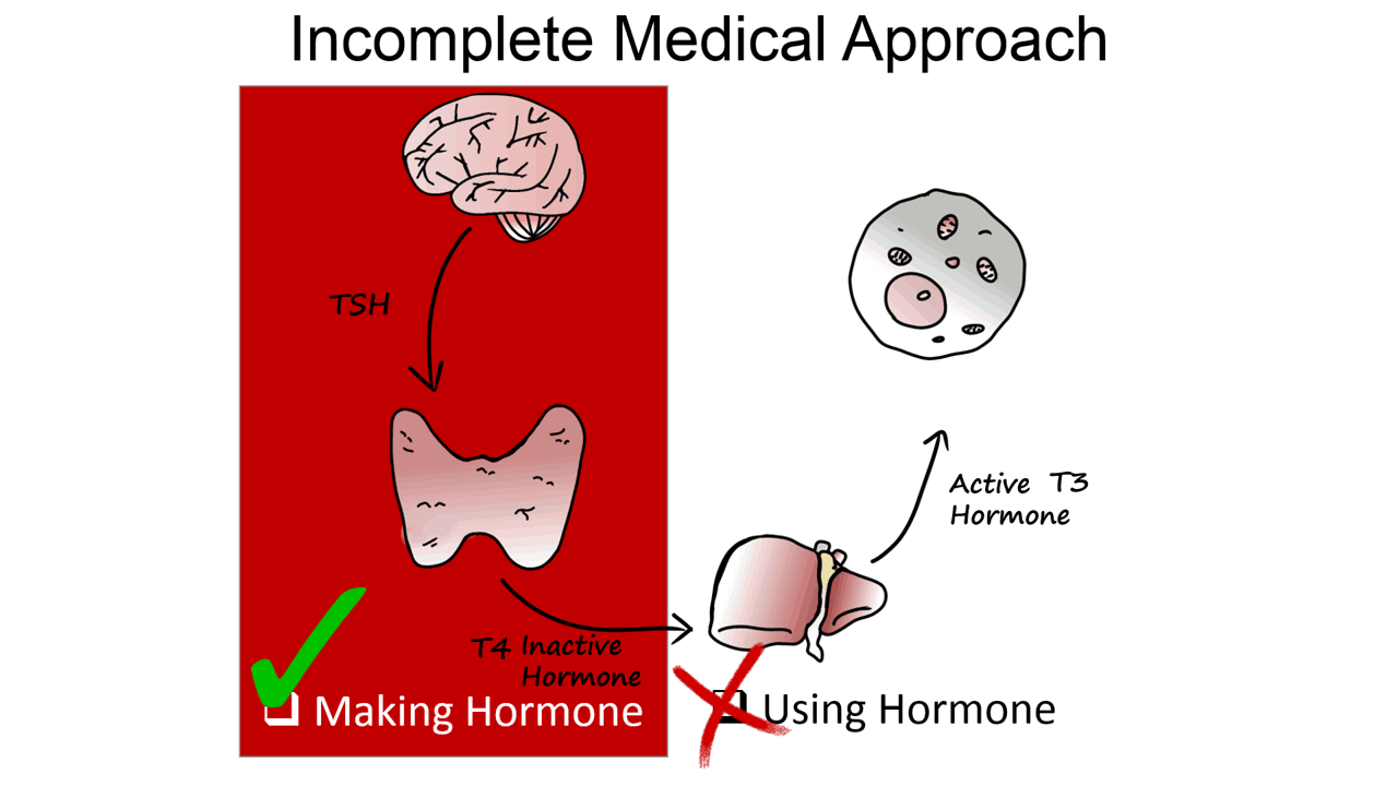 Thyroid Health - Dr. Bob Milham, D.C.